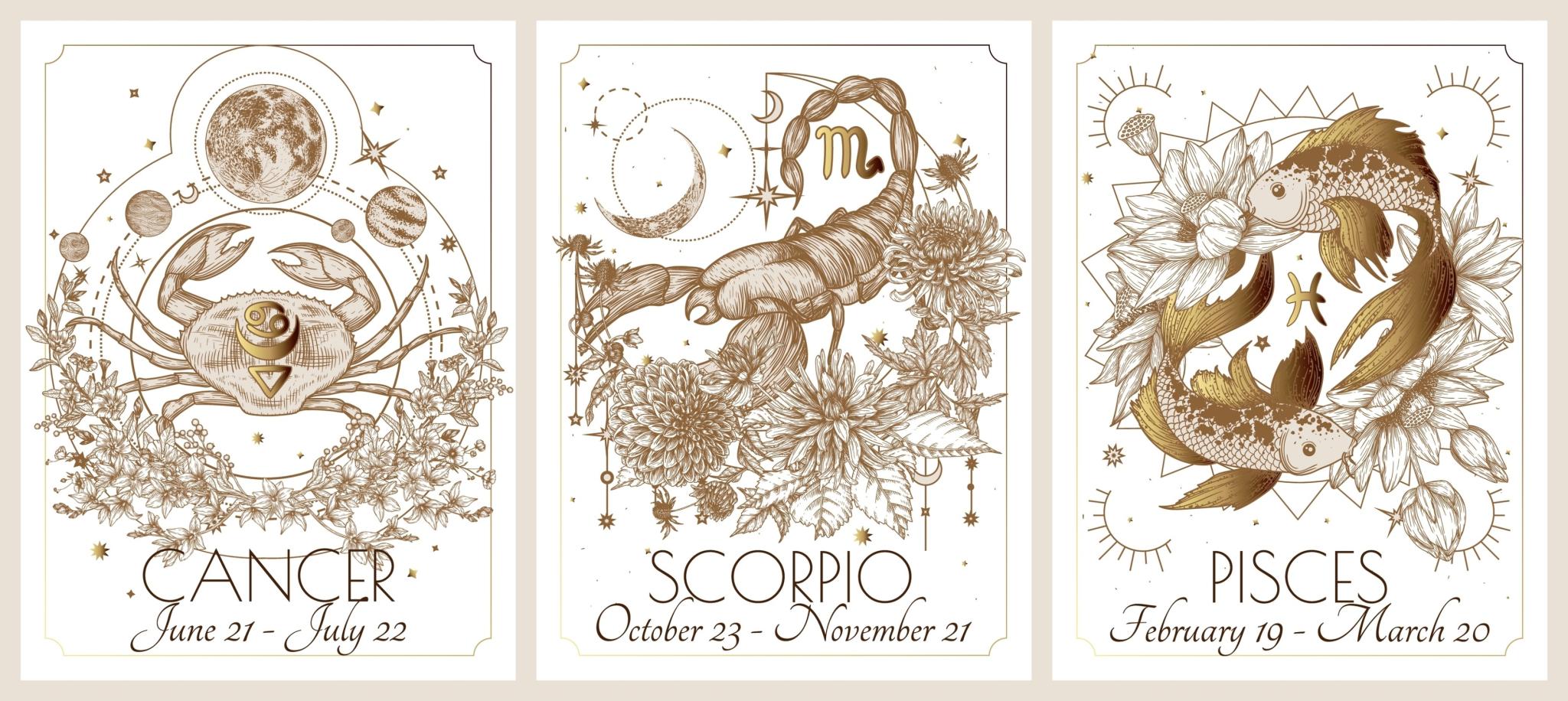 Water Signs Explained Cancer Scorpio And Pisces